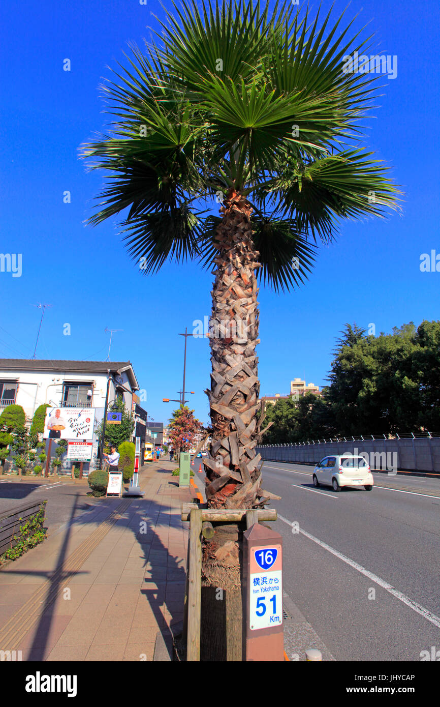 Fussa Base Side Street on Route 16 Alongside Yokota Air Base in Fussa city Tokyo Japan Stock ...