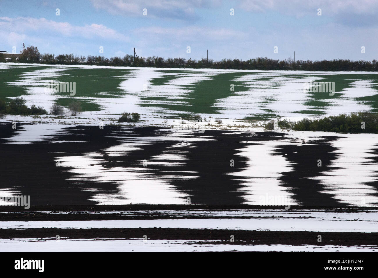 Green and black field partially covered by snow with a zebra design ...