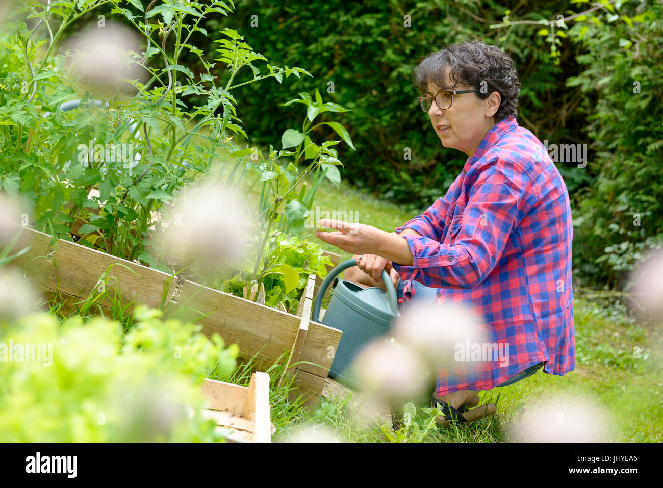 Mature caucasian gardener works in hi-res stock photography and images ...