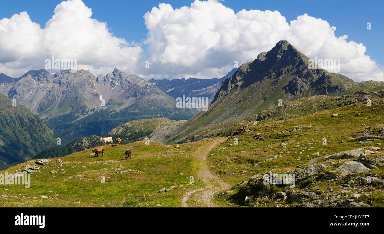 Panorama in the berninapass hi-res stock photography and images - Alamy