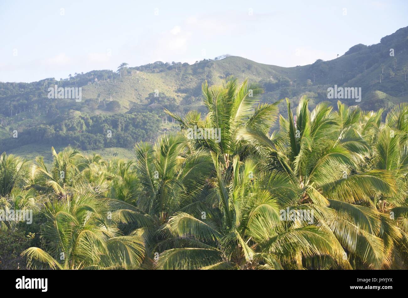 Dominican republic landscape hi-res stock photography and images - Alamy