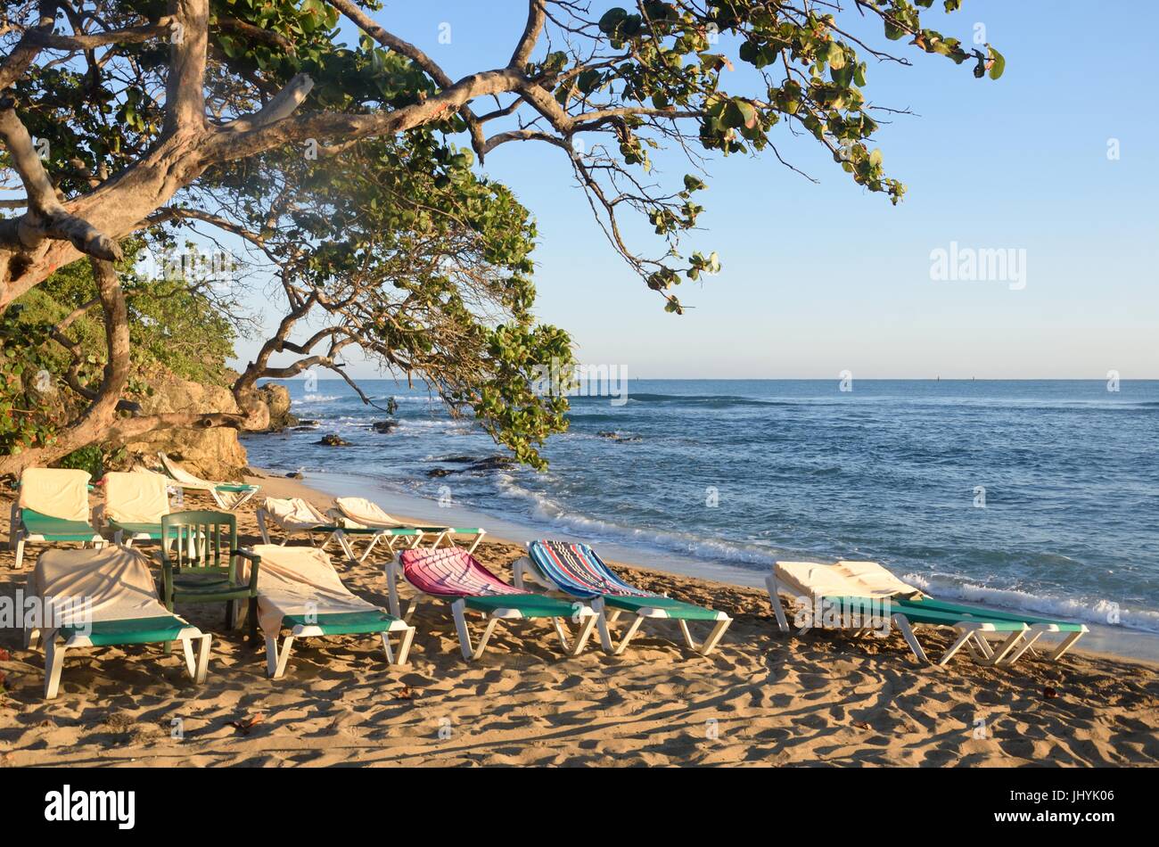 Empty sunbeds by caribbean beach Stock Photo - Alamy