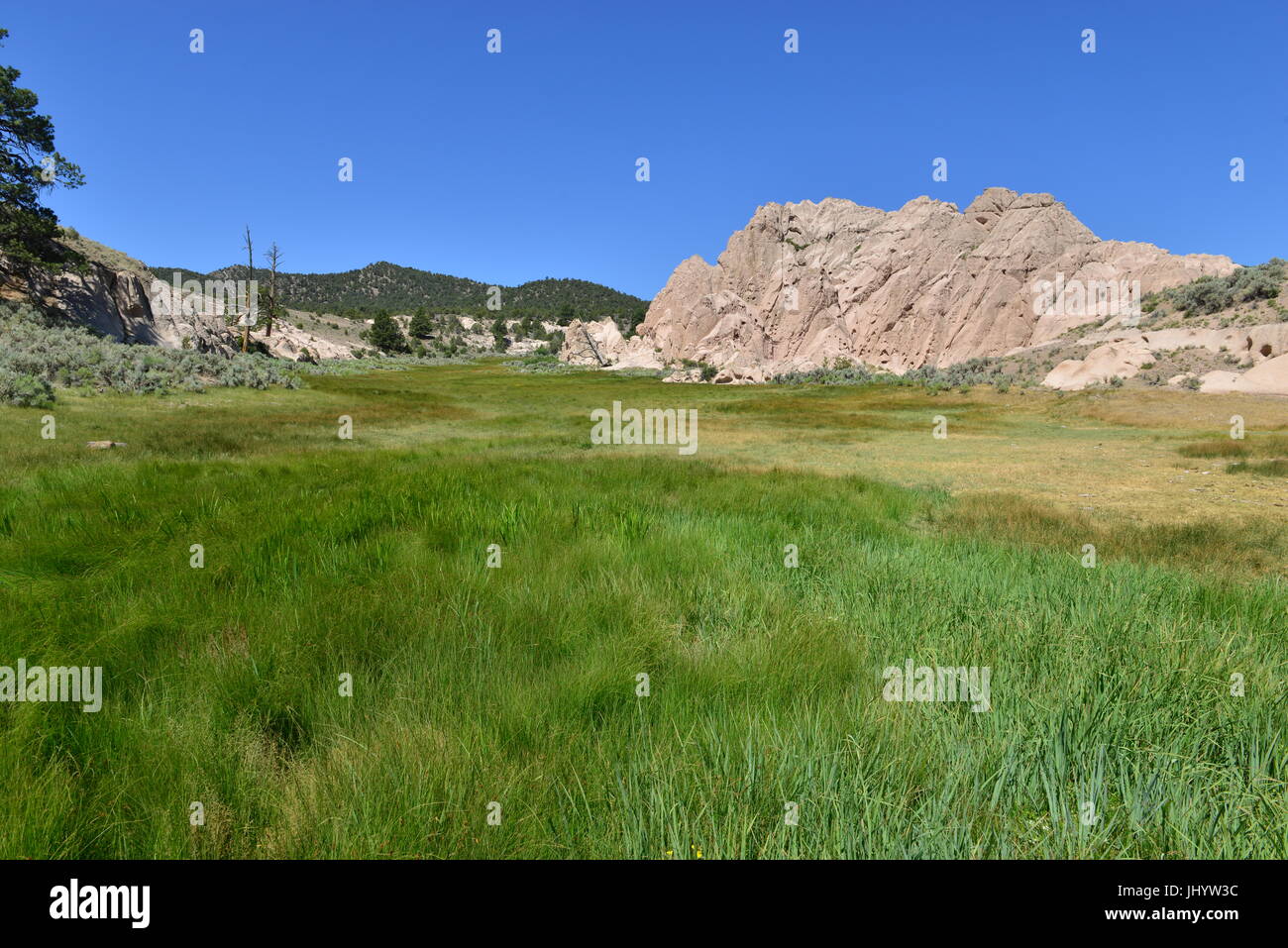 Spring Valley state park in Nevada in summertime Stock Photo - Alamy