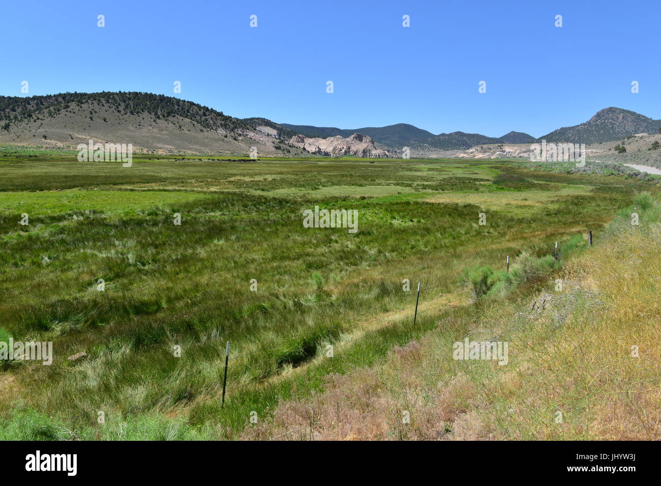 Spring Valley state park in Nevada in summertime Stock Photo - Alamy