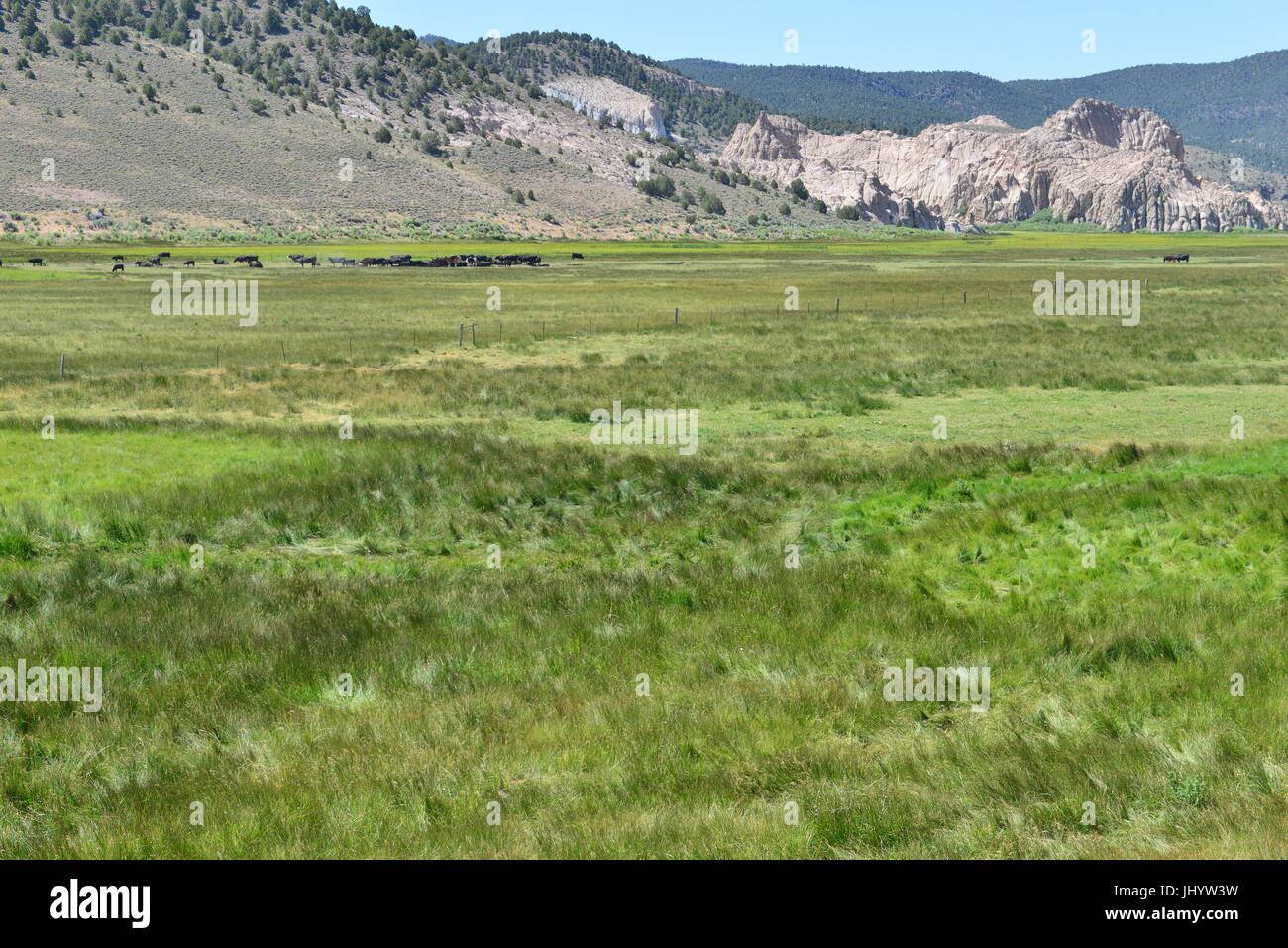 Spring Valley state park in Nevada in summertime Stock Photo - Alamy