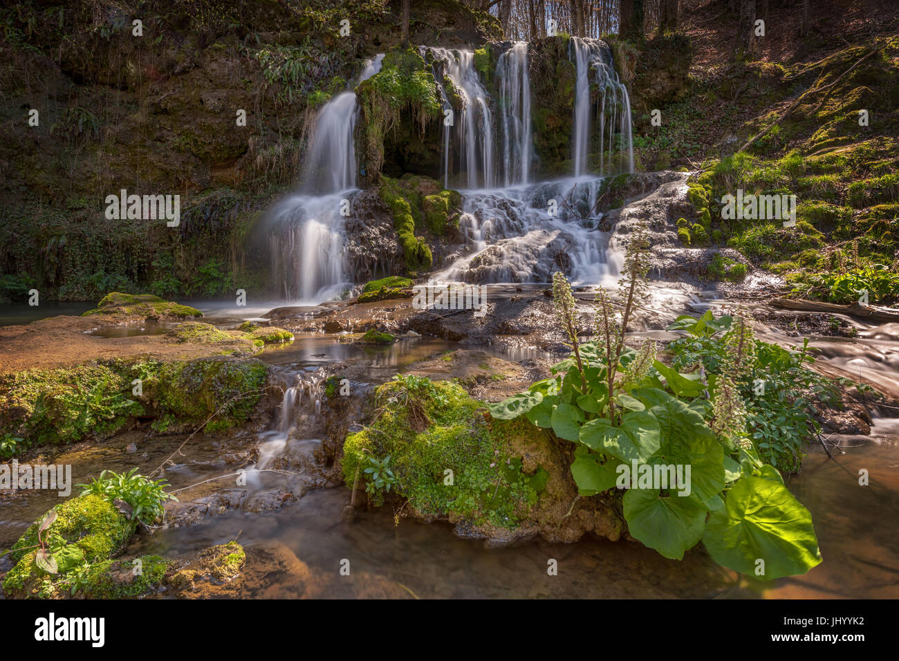 Beautiful waterfall green foliage hi-res stock photography and images ...
