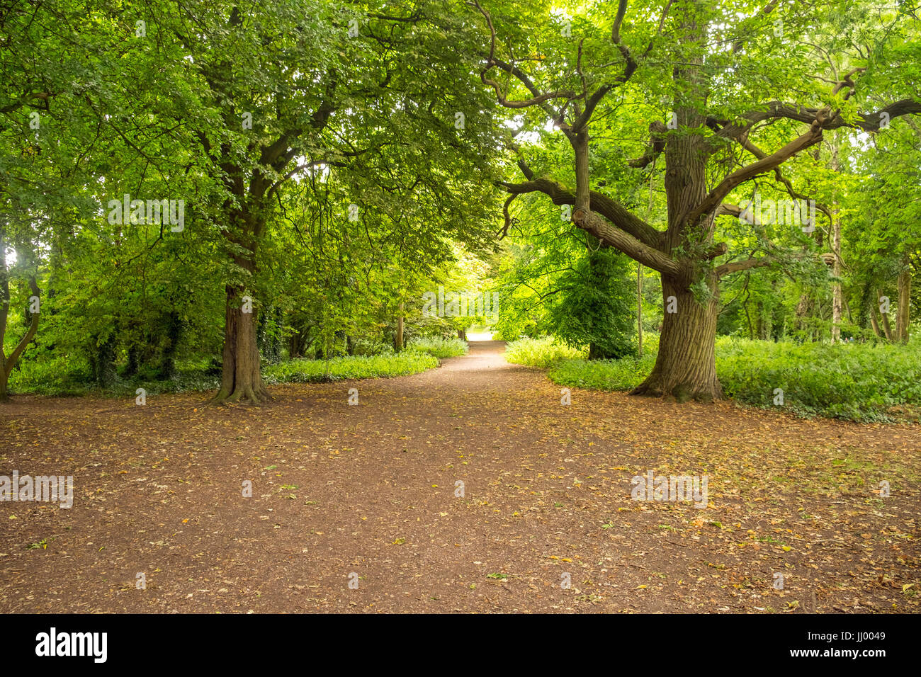 Tranquil pathway hi-res stock photography and images - Alamy