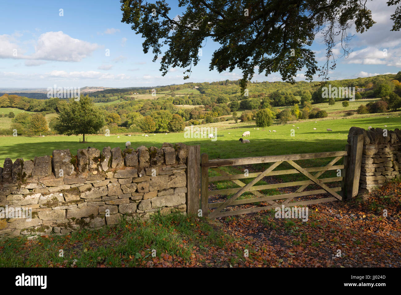 View over Cotswold landscape and drystone wall with wooden five bar ...