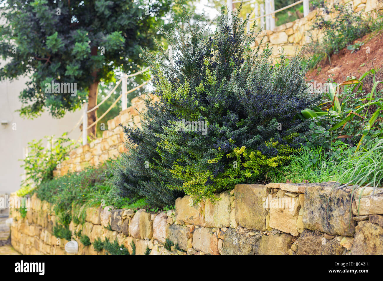 Outdoor countryside landscape Stock Photo - Alamy