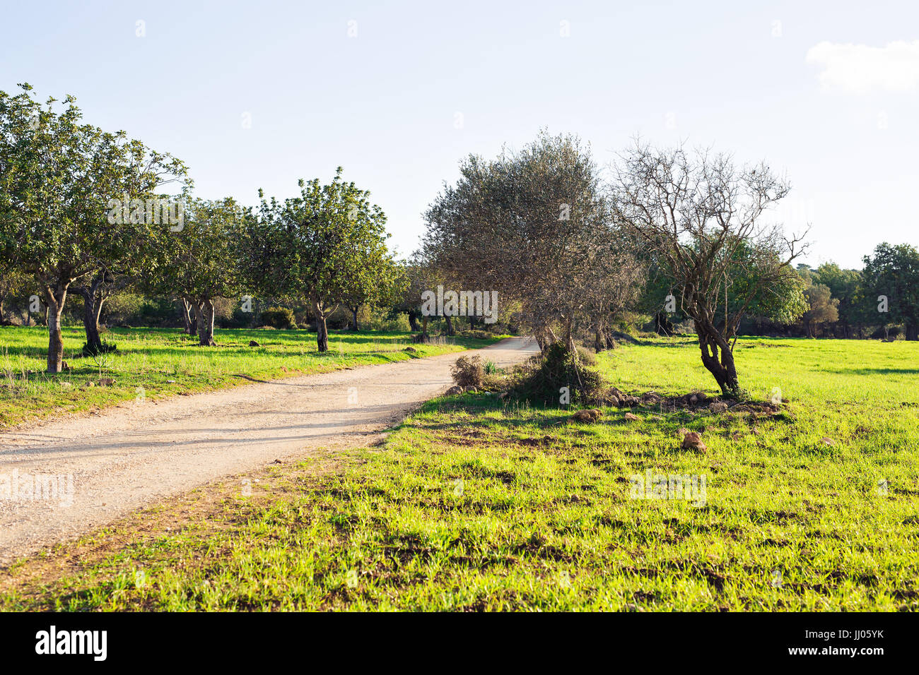 field of grass and trees Stock Photo - Alamy