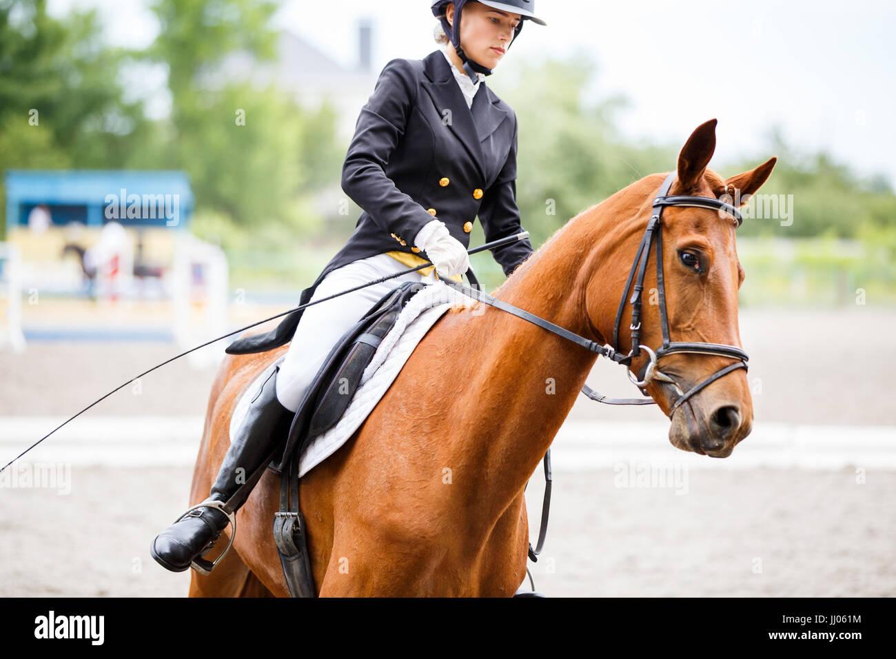 Young rider girl on sorrel horse at dressage equestrian competition ...