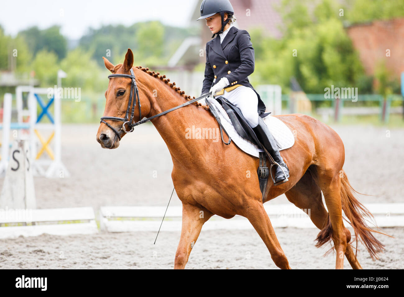 Young rider girl on sorrel horse at dressage equestrian competition ...