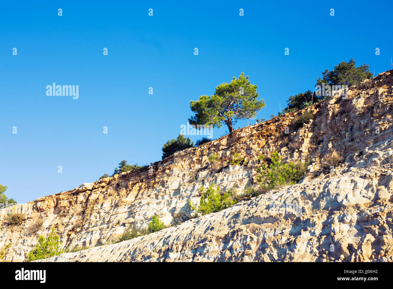 Lonely tree growing on top of the rock Stock Photo - Alamy