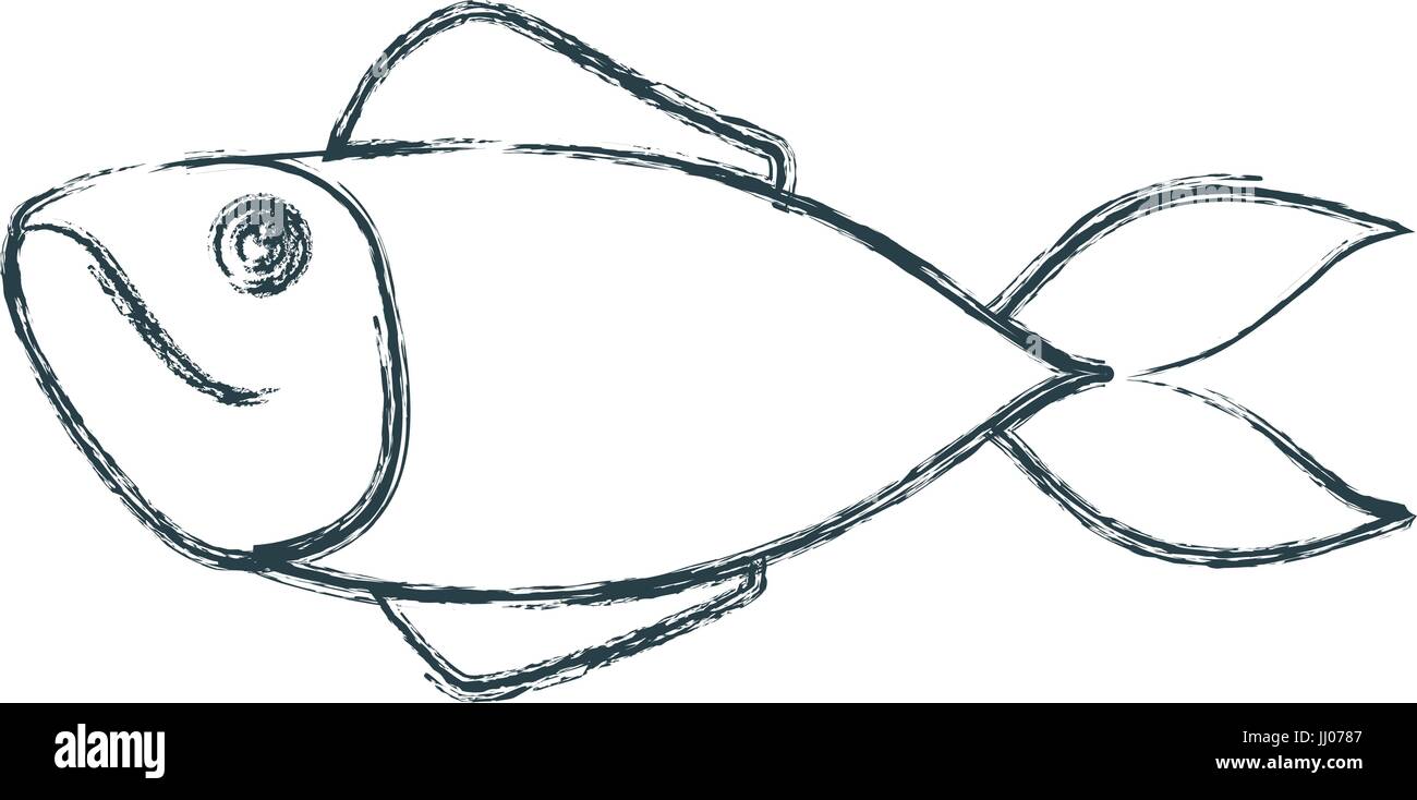 Crappie Stock Vector Images - Alamy