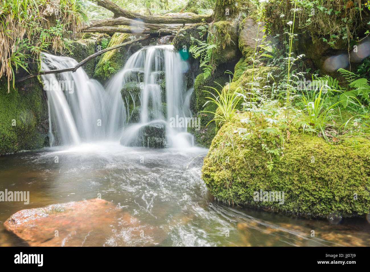 Beautiful waterfall in the forest Stock Photo - Alamy