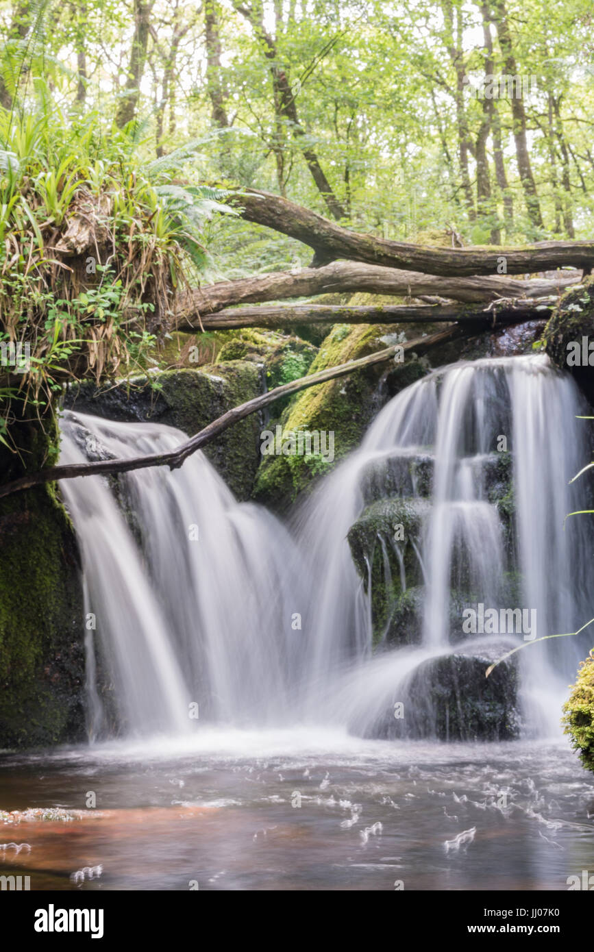 Beautiful waterfall in the forest Stock Photo - Alamy
