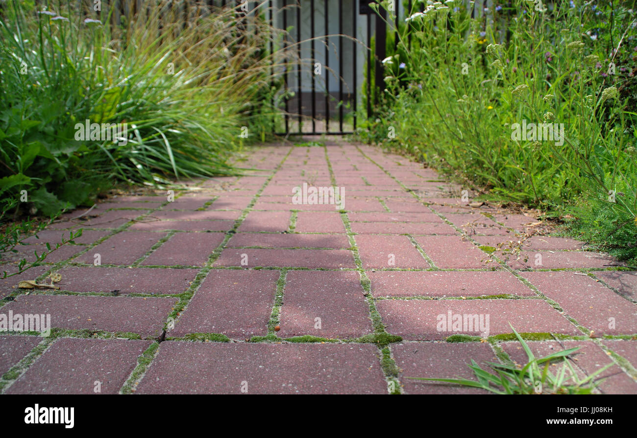Red cobblestone concrete walkingpath to an estate with grass on the ...