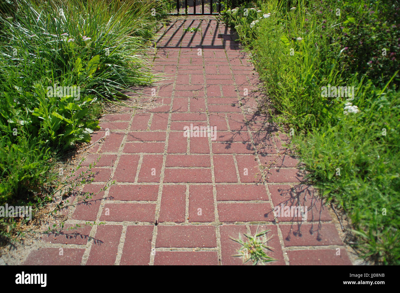 Red cobblestone concrete walkingpath to an estate with grass on the ...