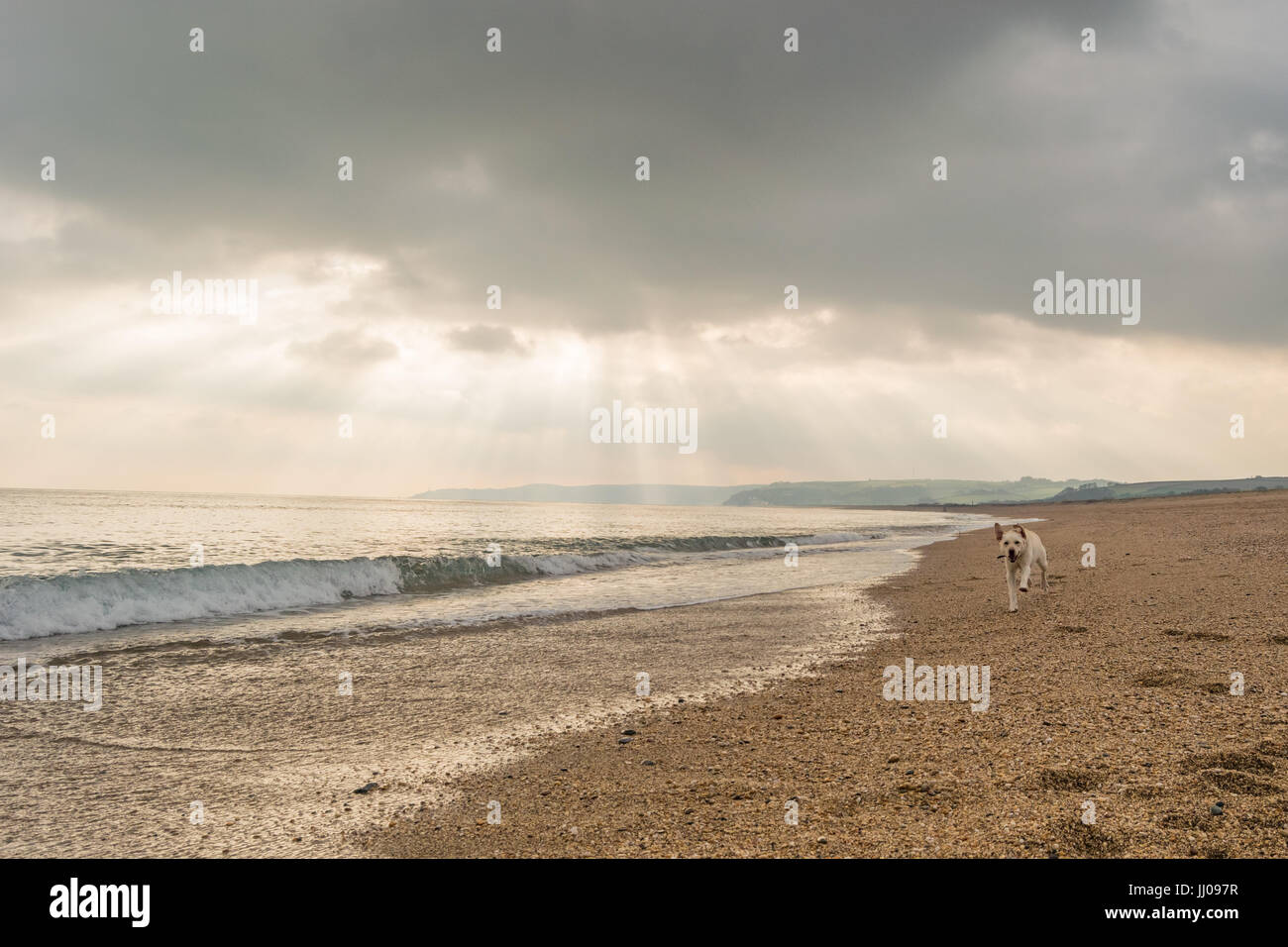 Pace full hi-res stock photography and images - Alamy