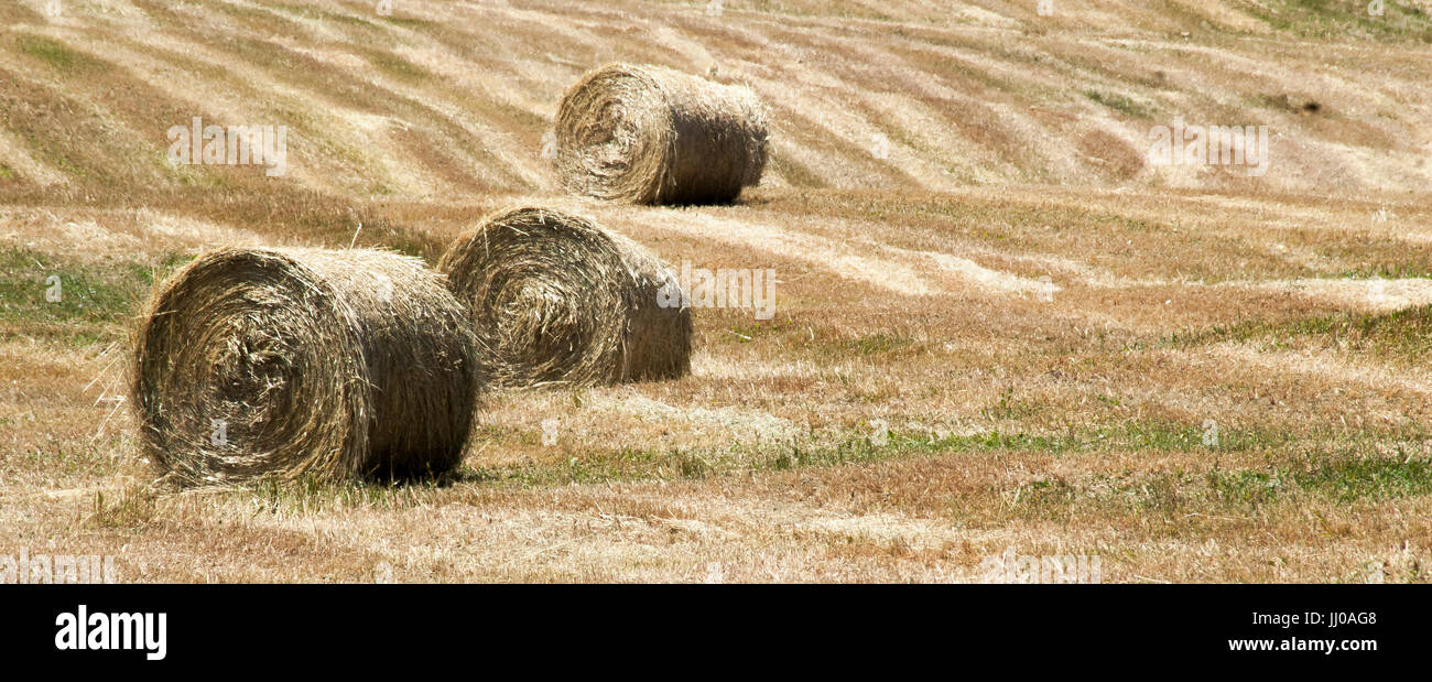 31 pictures hi-res stock photography and images - Alamy