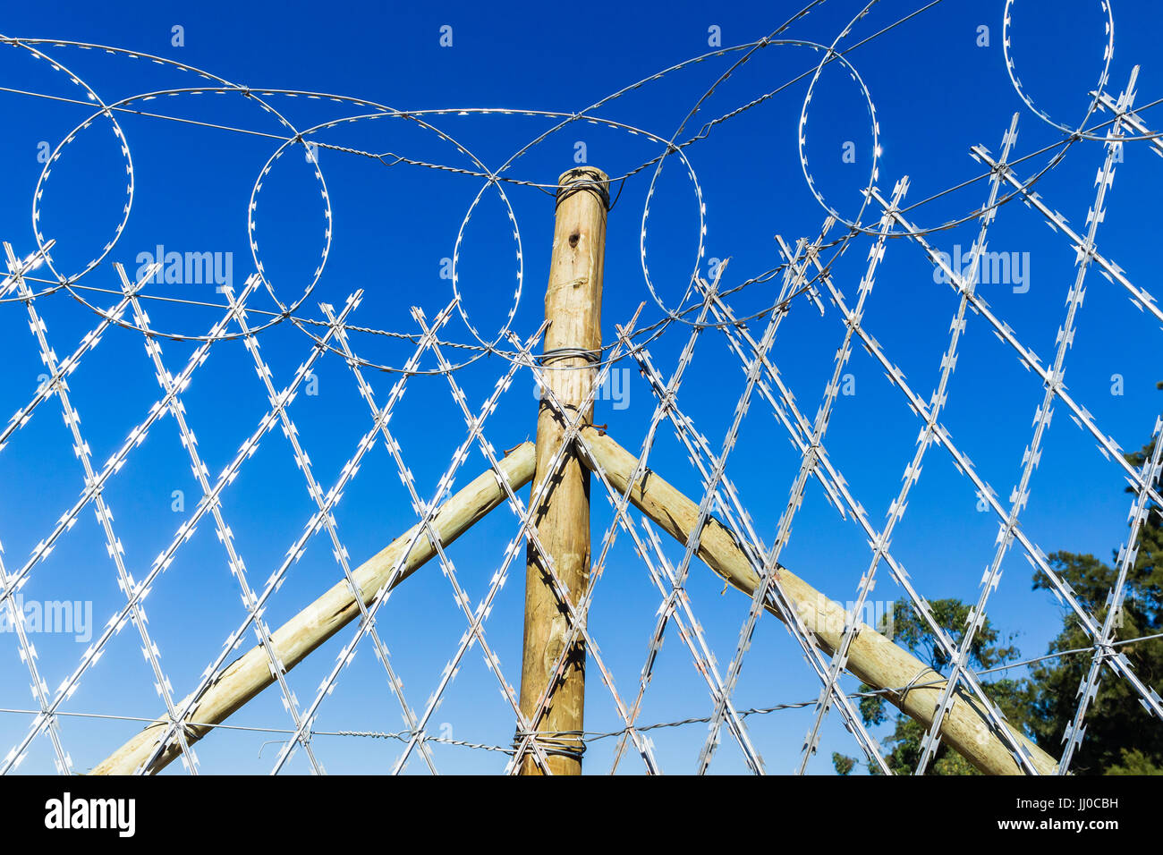 Razor wire fence closeup detail against blue sky Stock Photo - Alamy