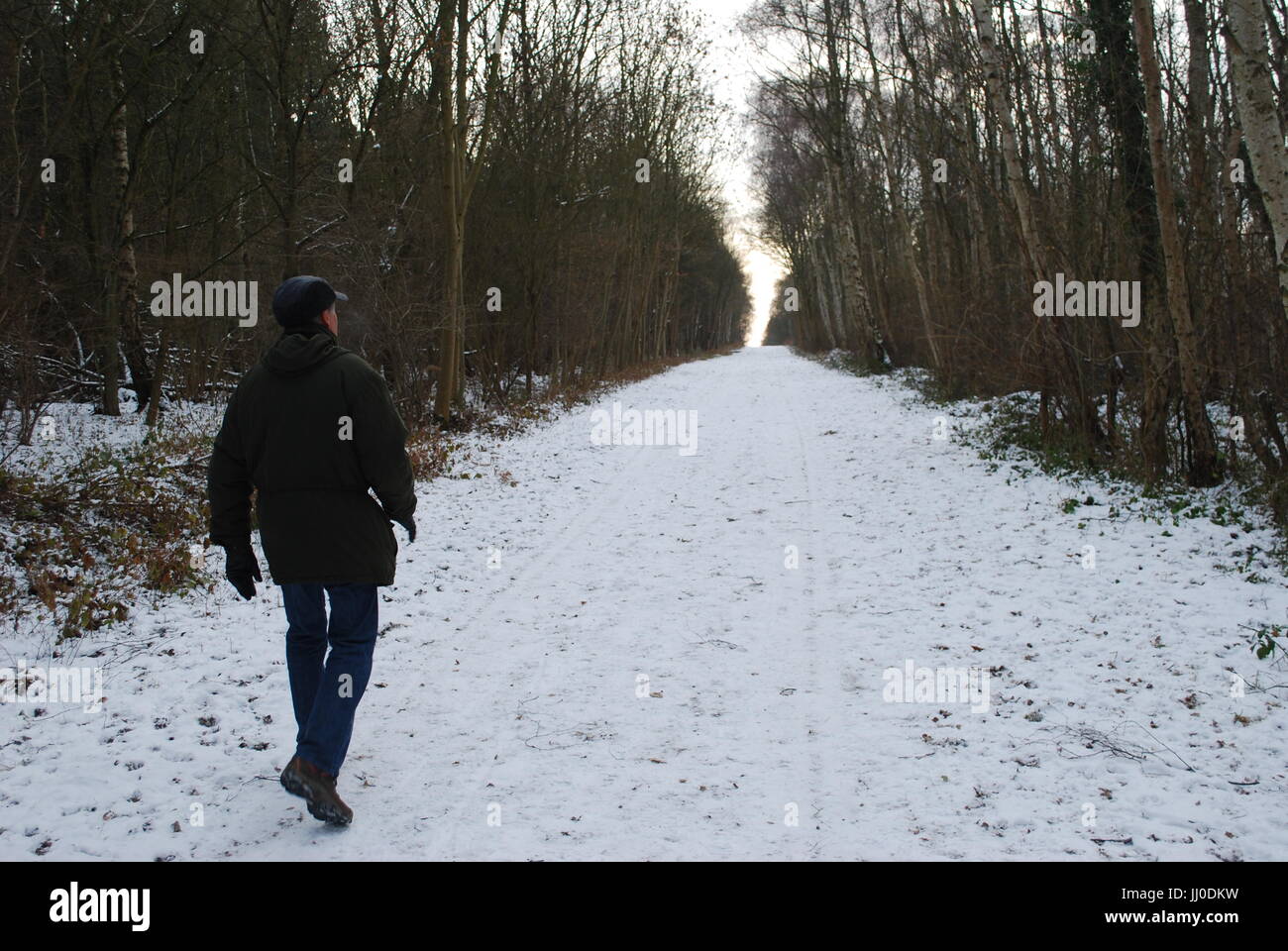 Man walking down a snow covered path in a wood Stock Photo - Alamy