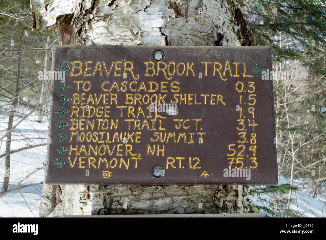 Appalachian trail experience hi-res stock photography and images - Alamy