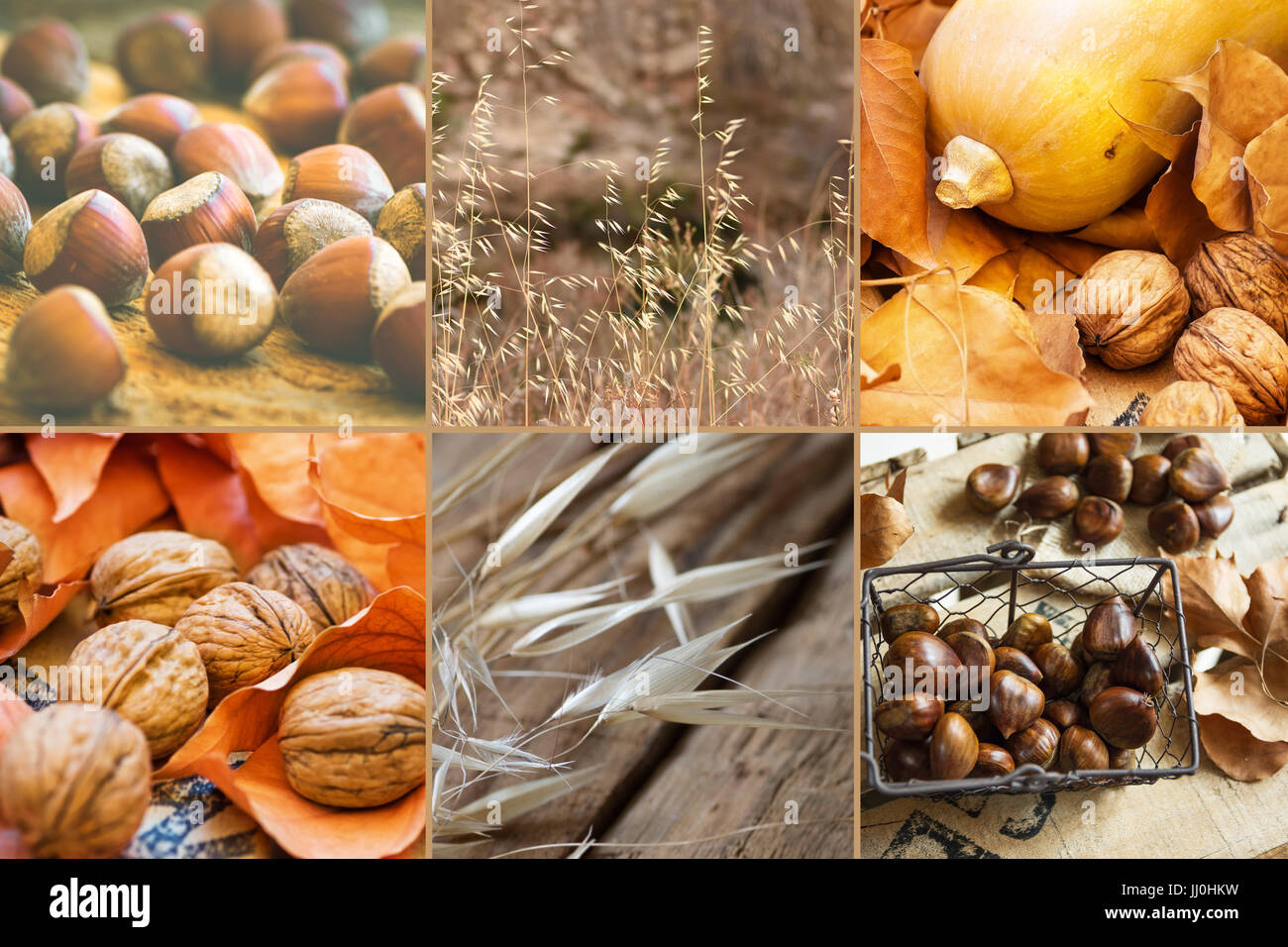 Photo collage six square images autumn, fall, hazelnuts, walnuts, dry ...