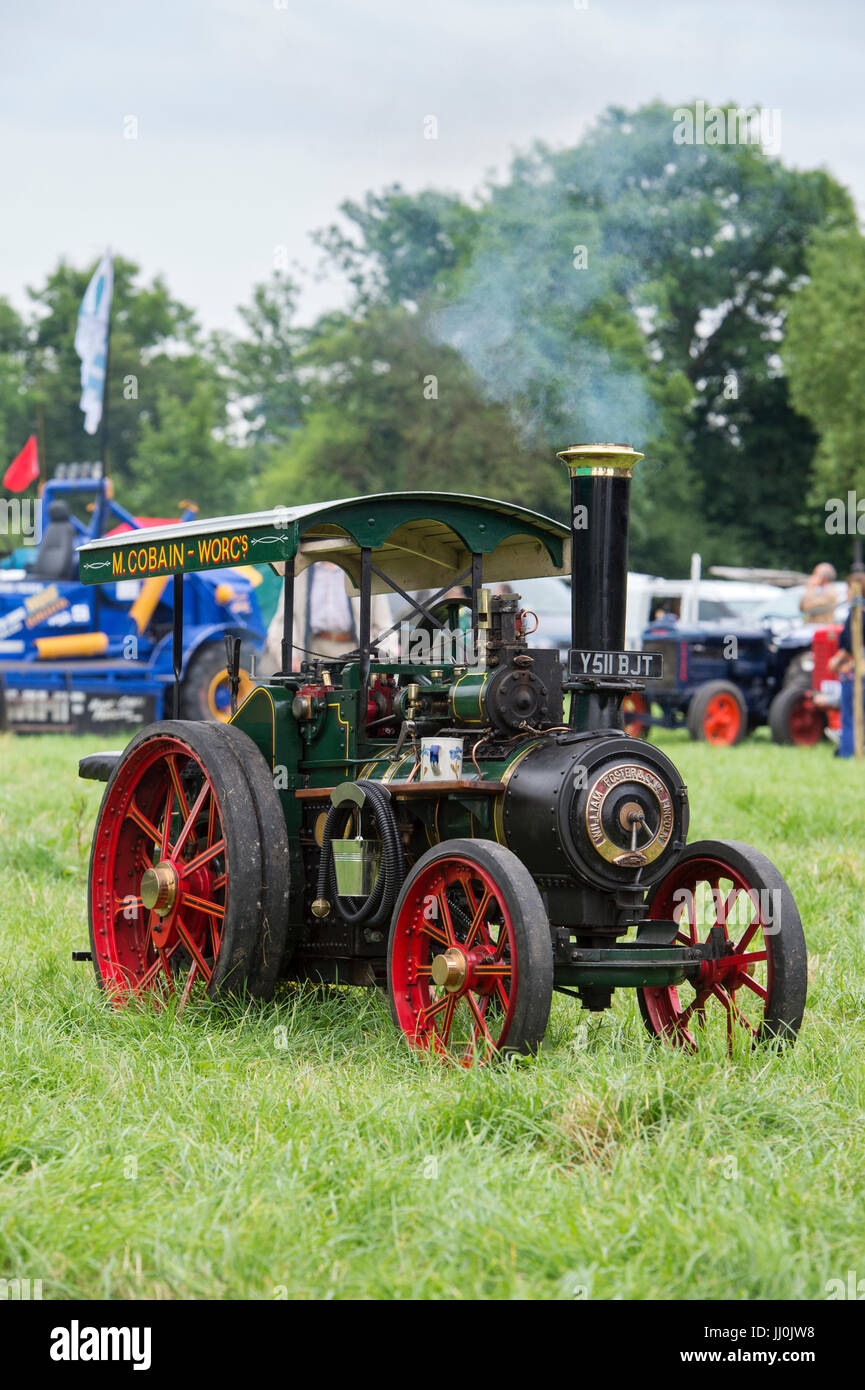 Vintage Miniature Steam traction engine at a country show. Working ...