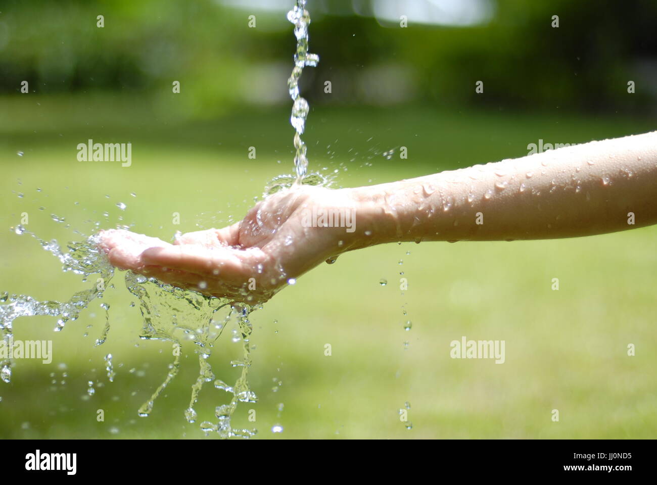 Hand catching water Stock Photo - Alamy