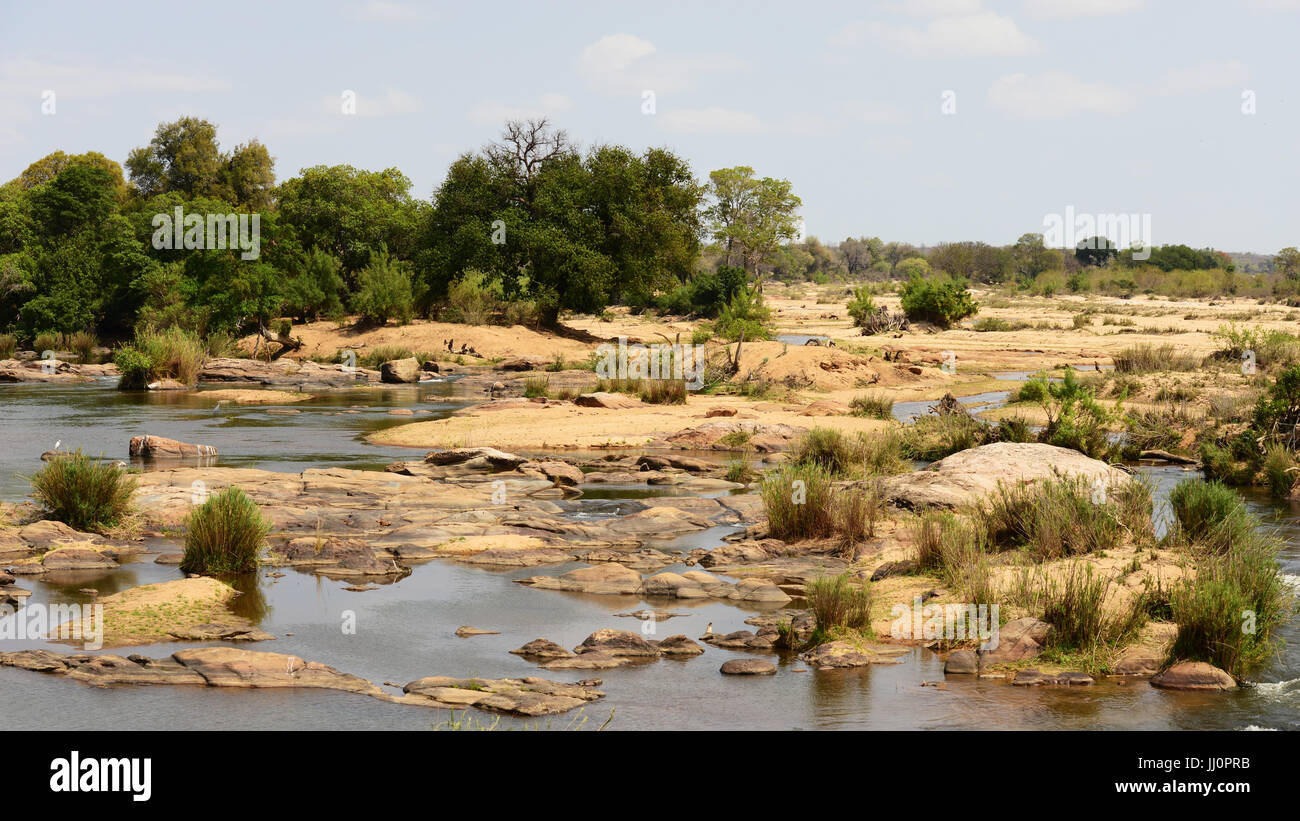 Kruger National Park Stock Photo - Alamy