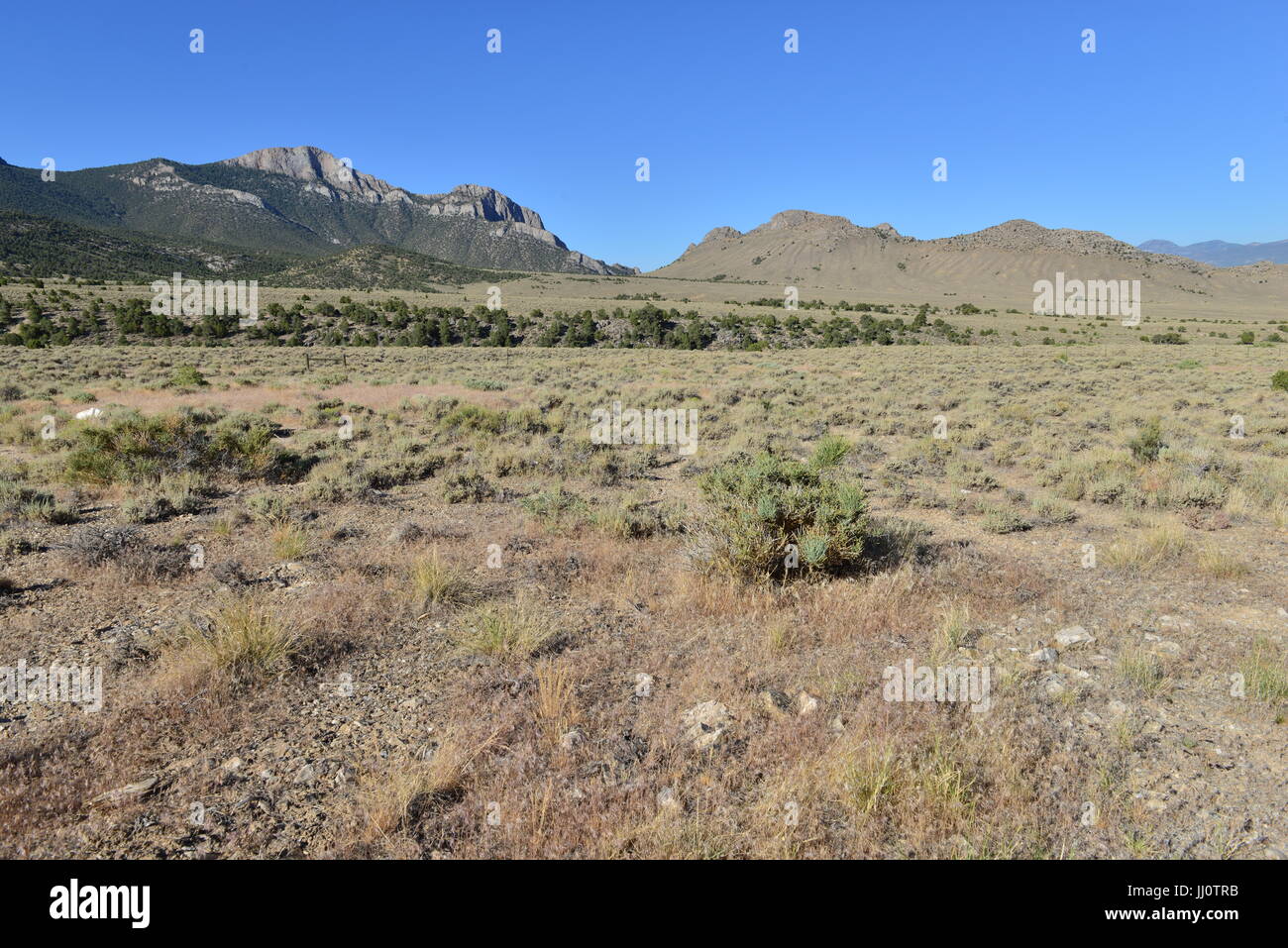 The desert of Nevada Stock Photo - Alamy