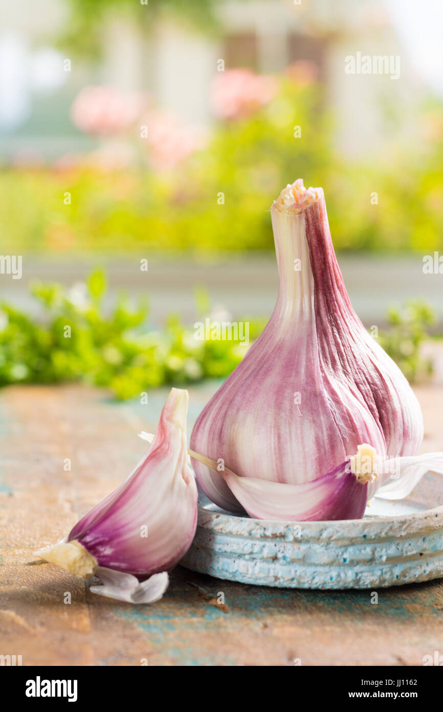 Young big garlic closeup hi-res stock photography and images - Alamy