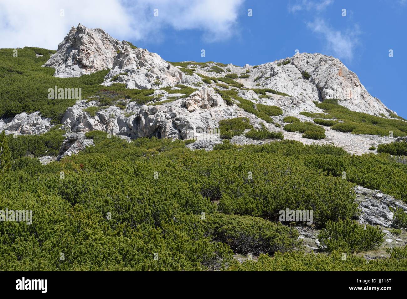 Harsh mountain climate hi-res stock photography and images - Alamy