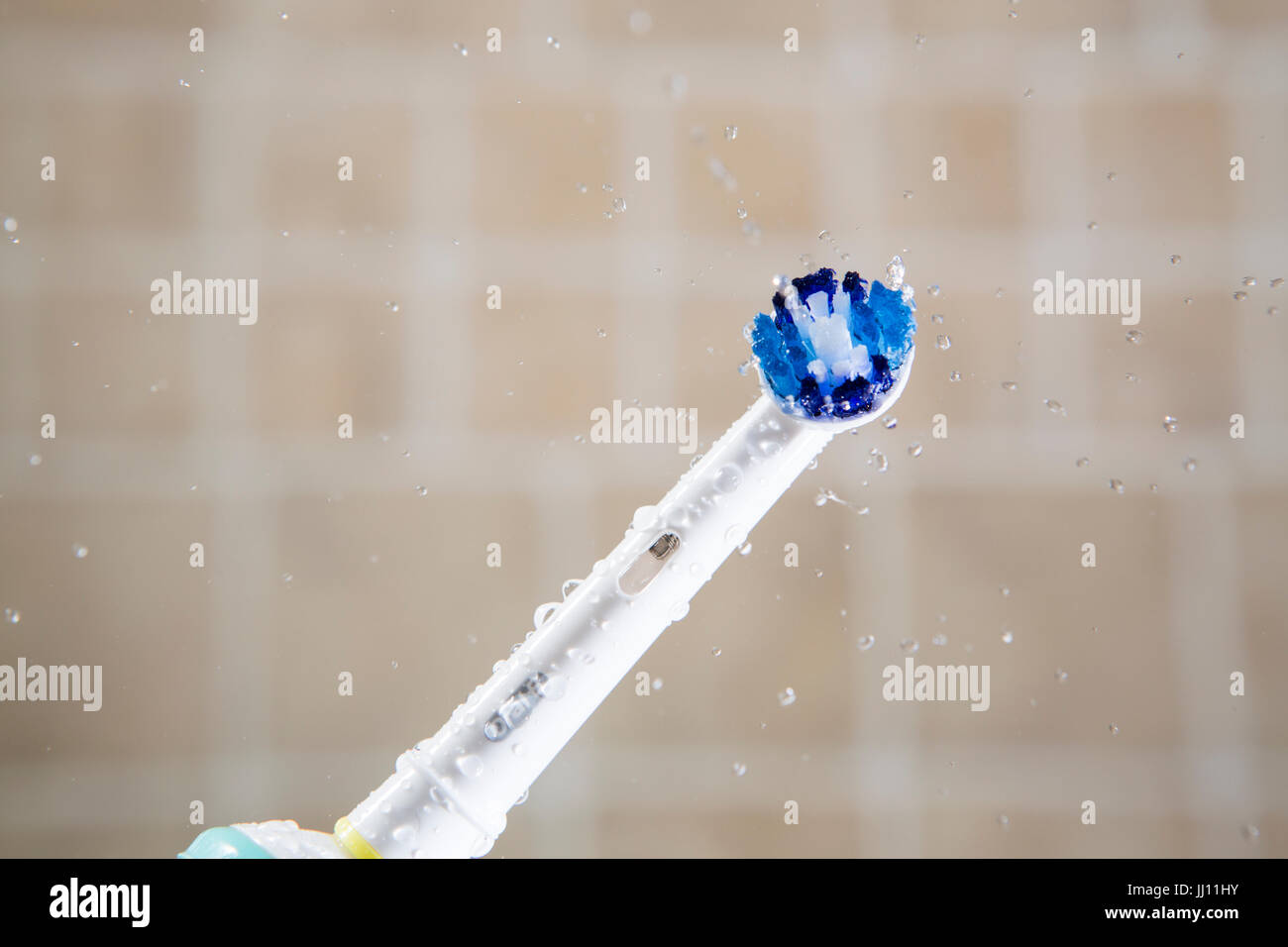 Toothbrush head hi-res stock photography and images - Alamy