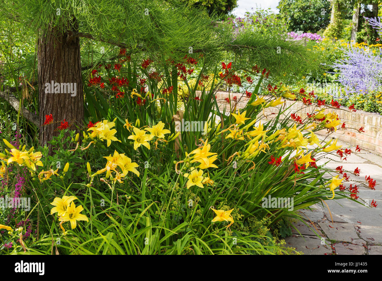 Rhs hyde hall hilltop garden hi-res stock photography and images - Alamy