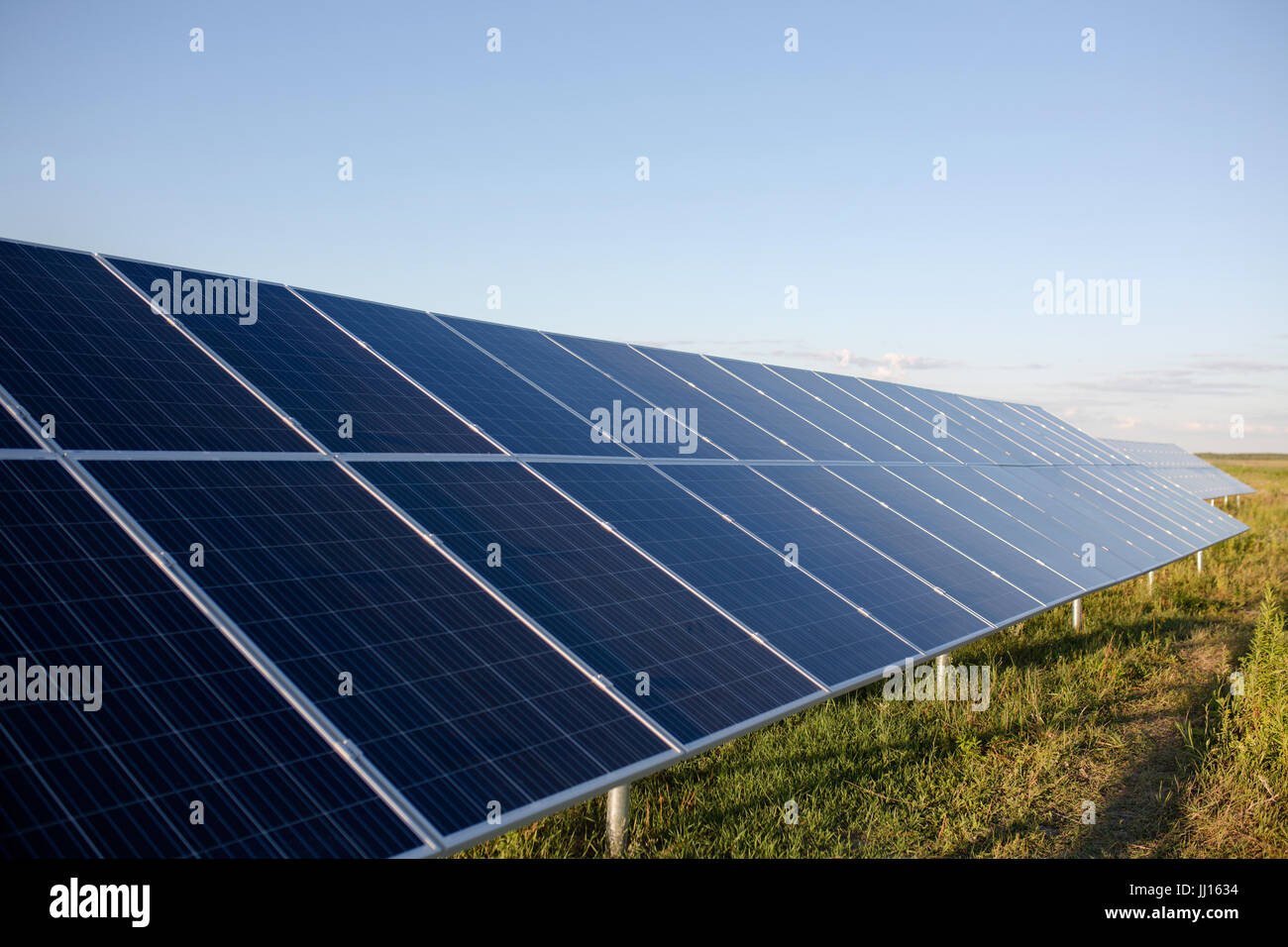 Solar cell panels in the field Stock Photo - Alamy