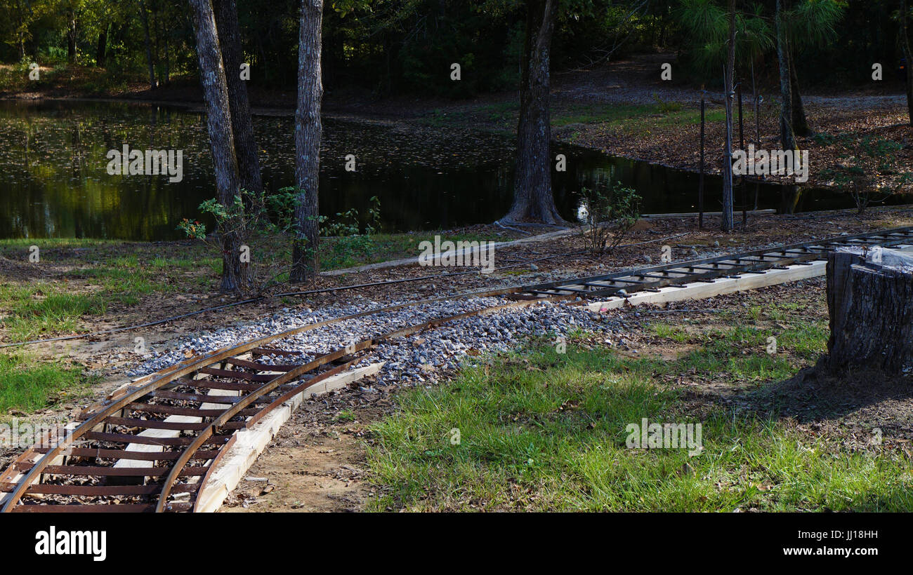 Railroad tracks in the woods Stock Photo - Alamy