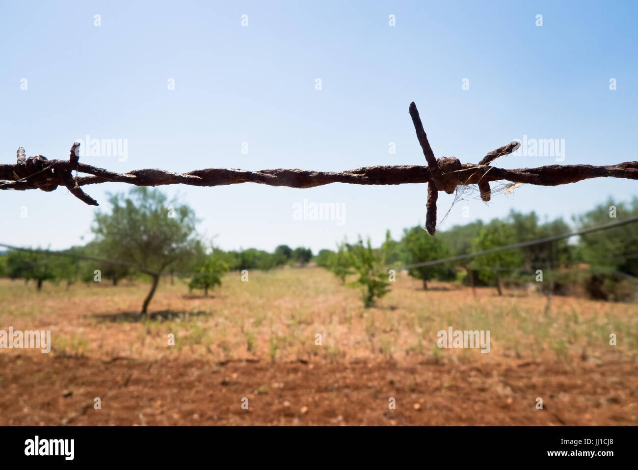 Closed environment agriculture hi-res stock photography and images - Alamy