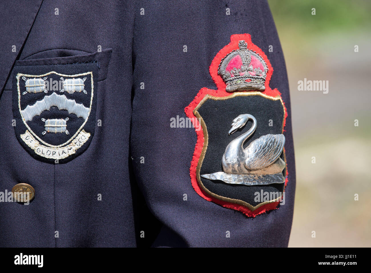 A swan upper near Staines during the ancient tradition of counting ...