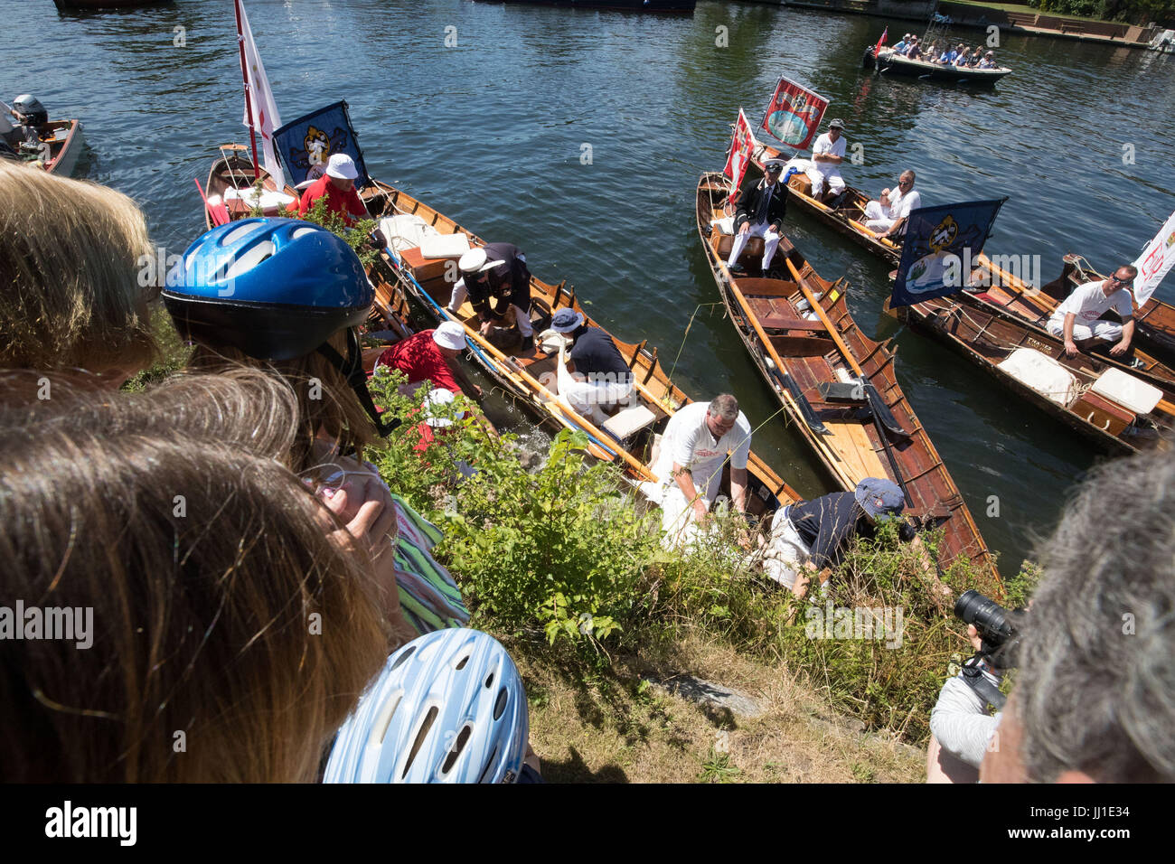 Staines inspect queens swans hi-res stock photography and images - Alamy