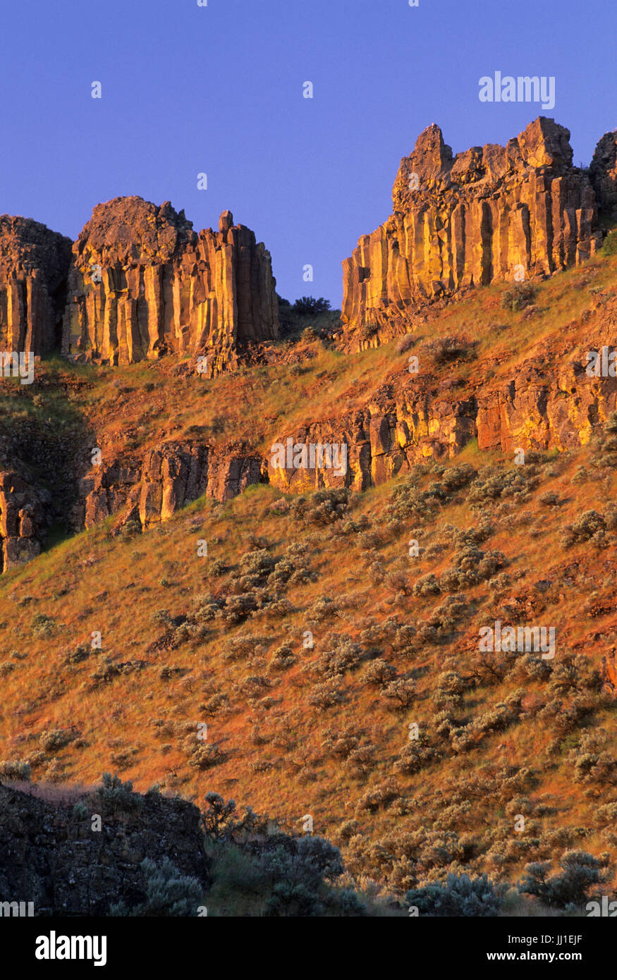 Basalt cliffs, Columbia National Wildlife Refuge, Washington Stock ...