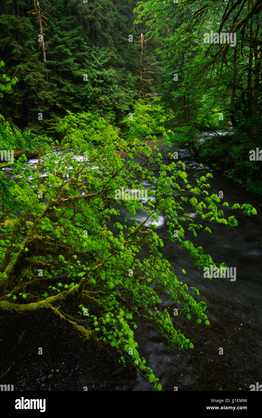 Barnes Trail High Resolution Stock Photography and Images - Alamy