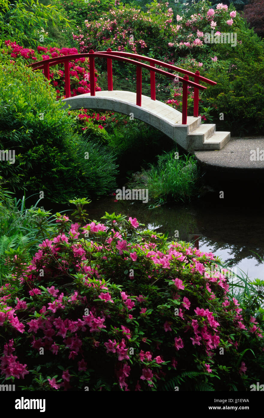 Moon Bridge, Kubota Garden, Seattle, Washington Stock Photo - Alamy