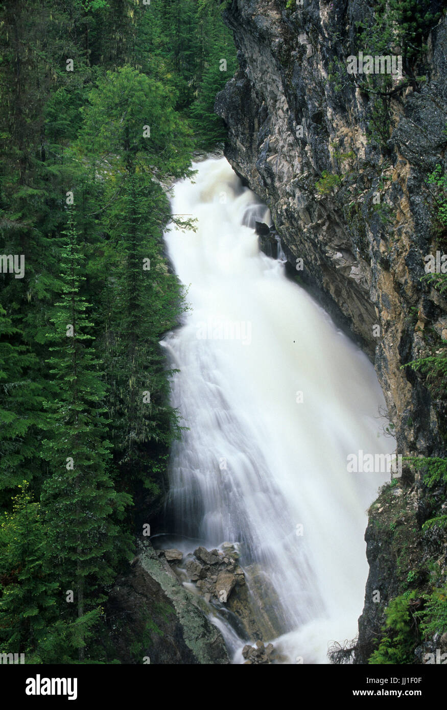 Lower Granite Falls, Roosevelt Grove of Ancient Cedars Scenic Area ...