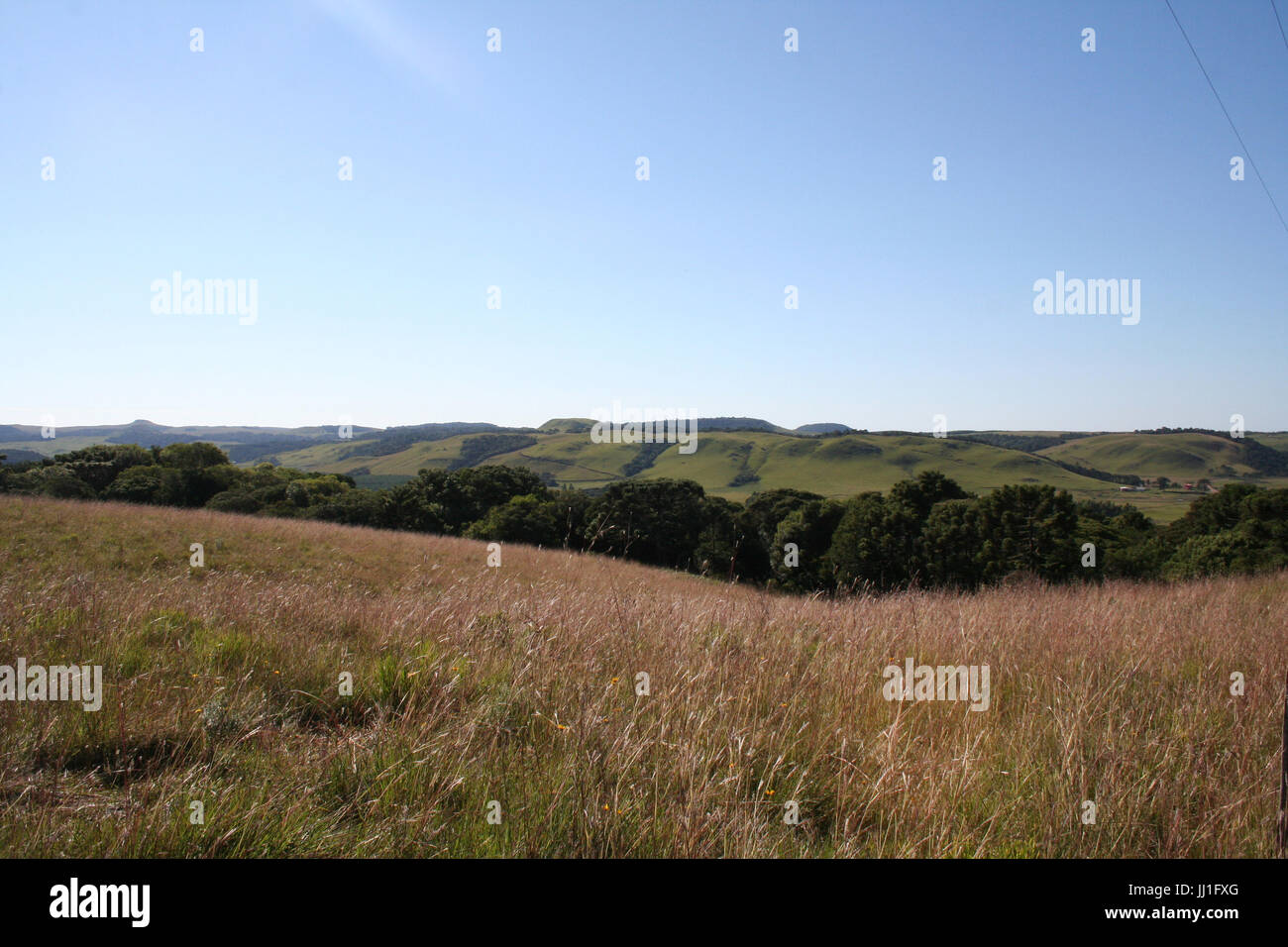 Cambará do sul brazil hi-res stock photography and images - Alamy