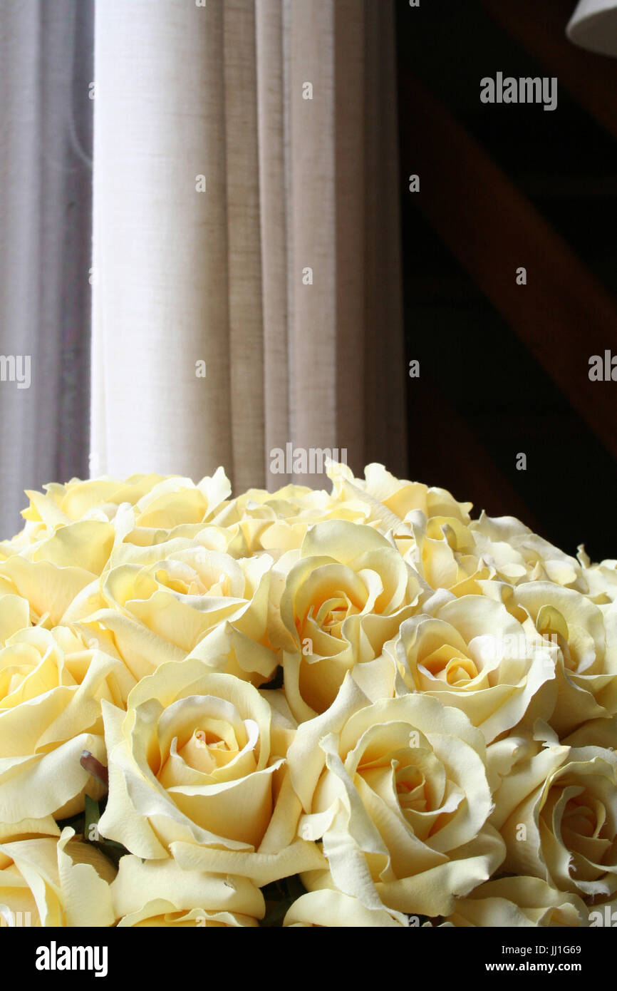 Flowers, white roses, Gramado, Rio Grande do Sul, Brazil Stock Photo ...