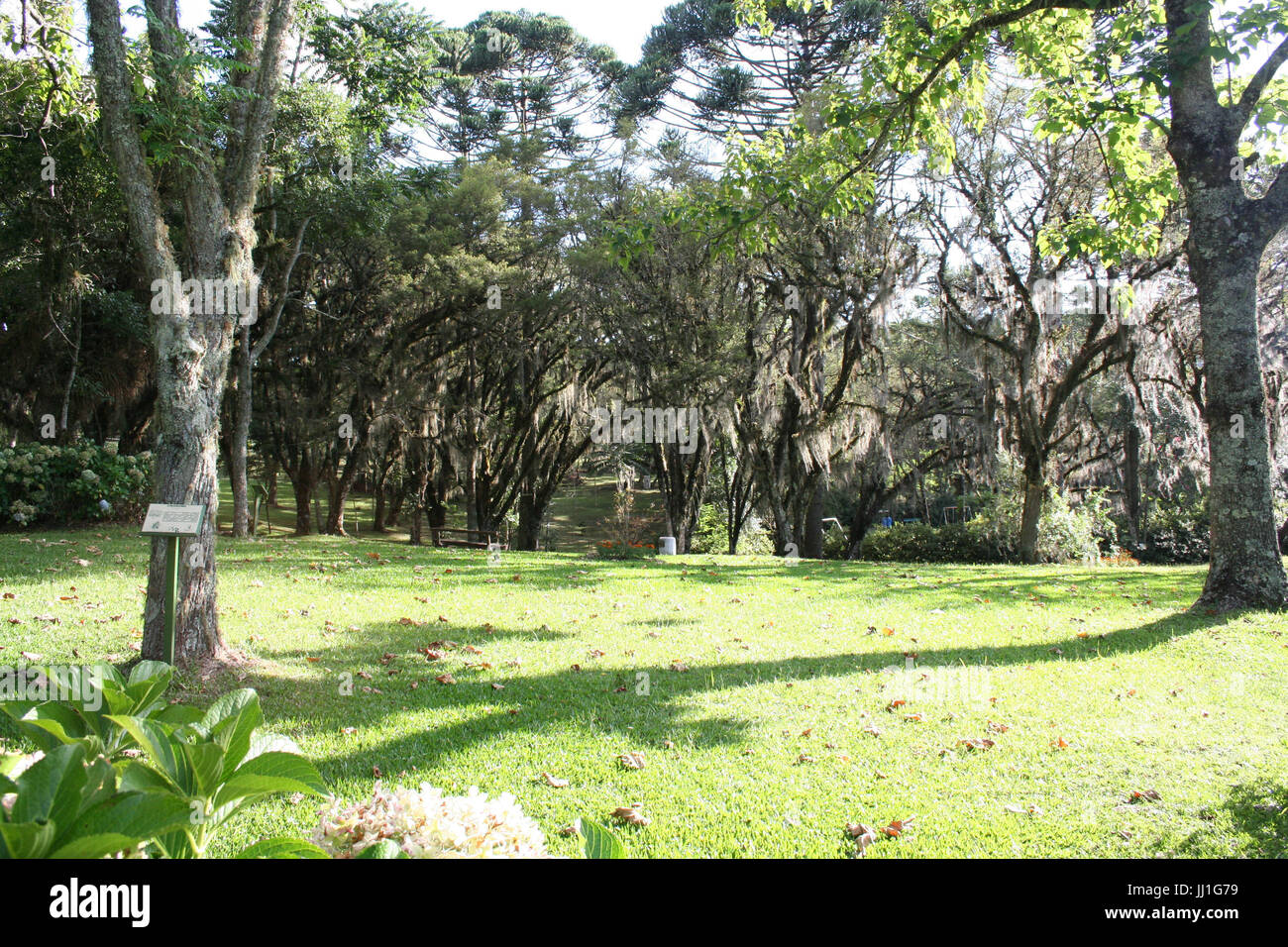 Parque do caracol hi-res stock photography and images - Alamy