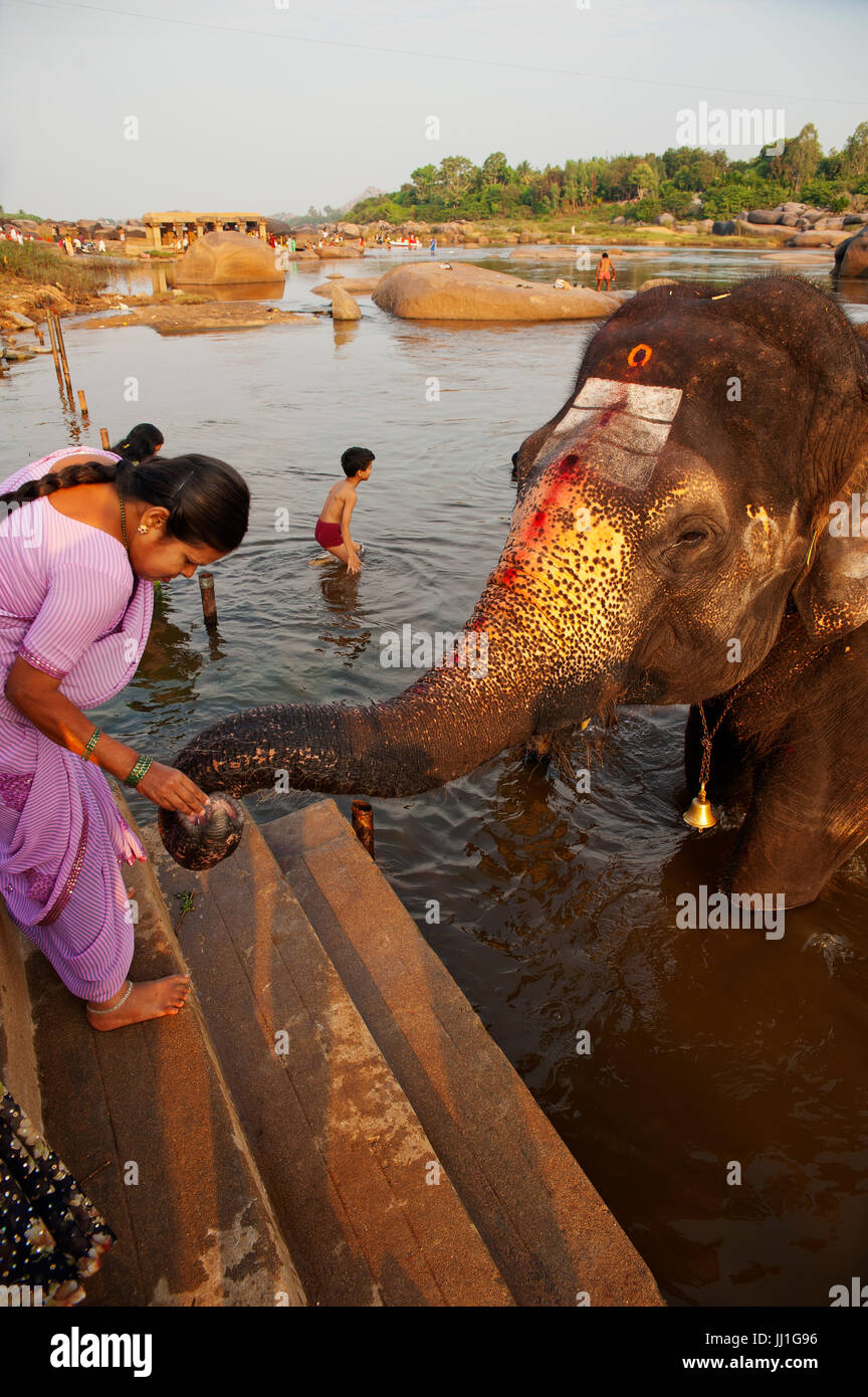 Lakshmi elephant hi-res stock photography and images - Alamy