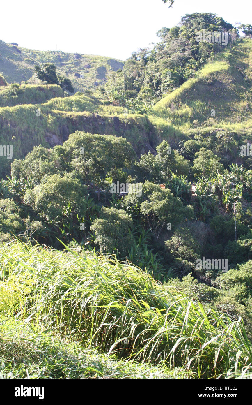 Landscape, Rio de Janeiro, Brazil Stock Photo - Alamy